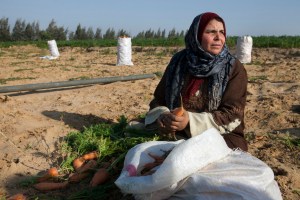 20 Photos | Celebrating the Hard Working Rural ِEgyptian Women on Their ...