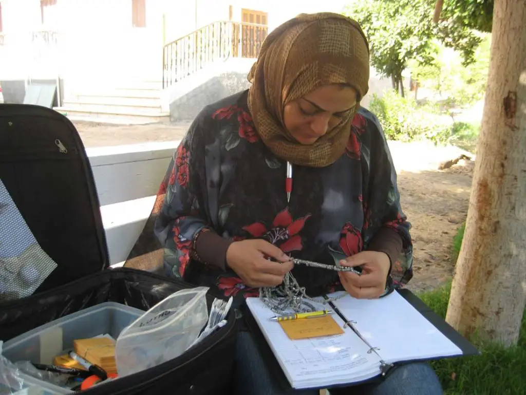 The Lady Birder of Egypt – Women of Egypt Network