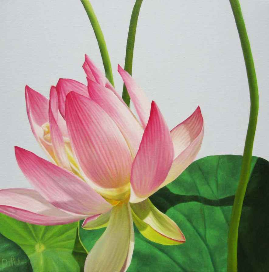 BE A LOTUS, Self-sufficient, Grateful, Strong and Compassionate | Dr ...